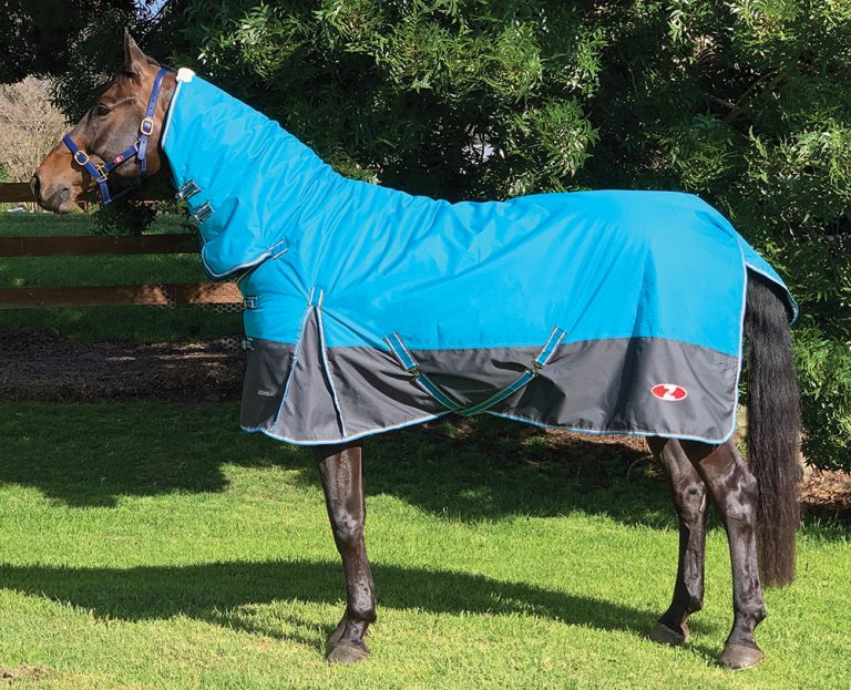 Zilco Explorer 100 Combo | Your Saddlery