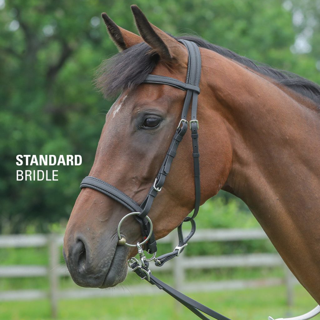 Sidepull Bitless Bridle | Your Saddlery