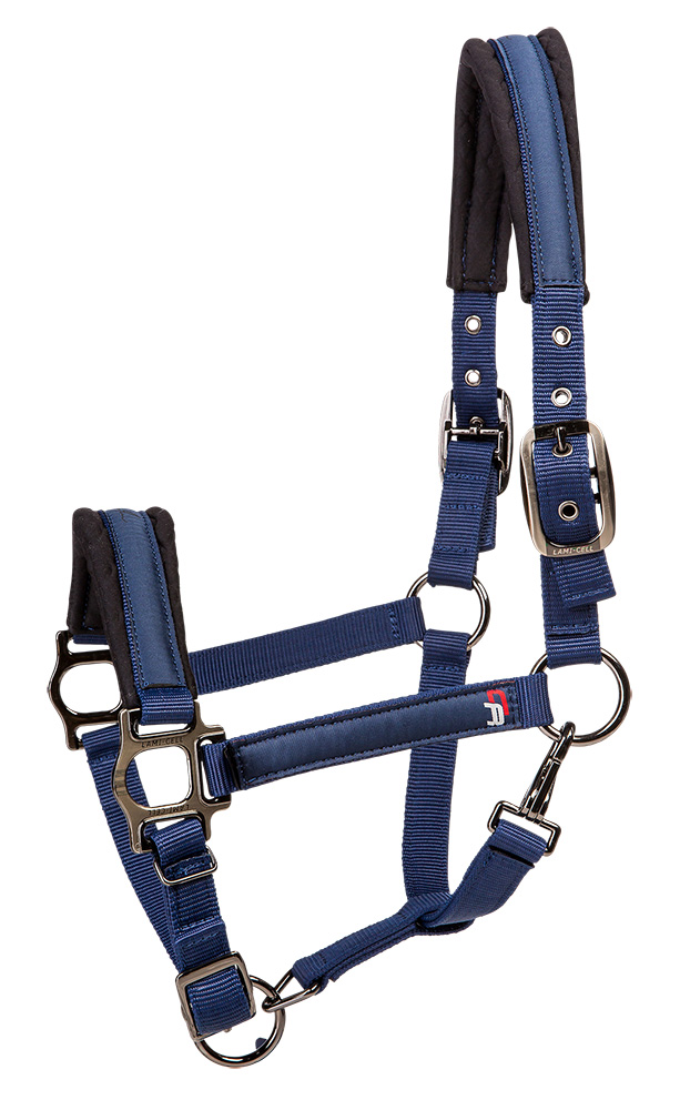 Buy Halters & Leads online at Your Saddlery