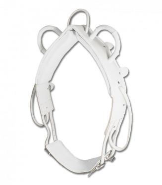 Waldhausen Competition Vaulting & Lunging Surcingle | Your Saddlery