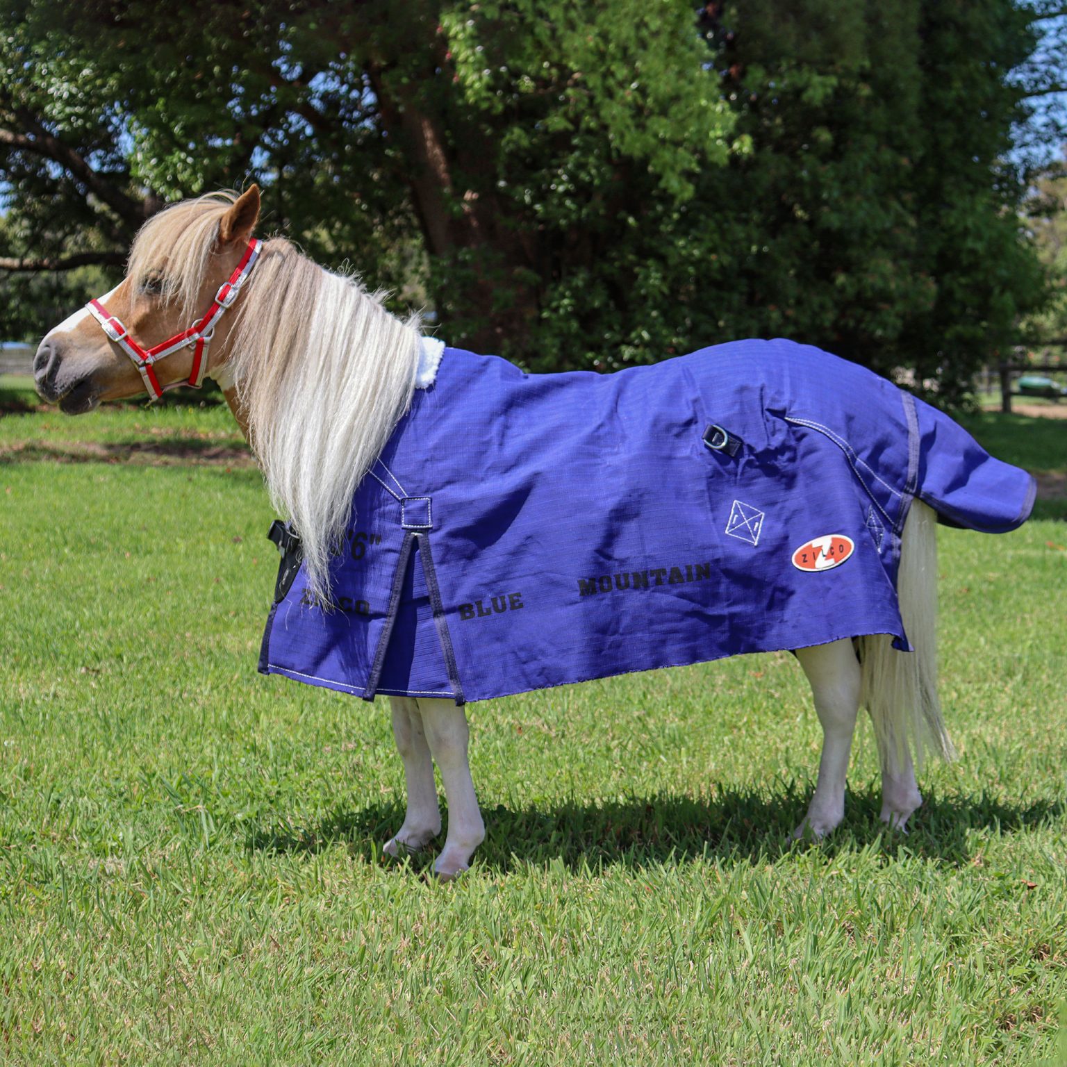mini-mountain-rug-your-saddlery