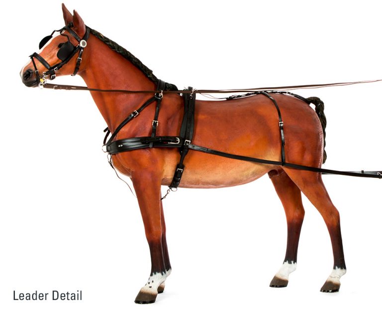 Classic Tandem Leader Harness | Your Saddlery