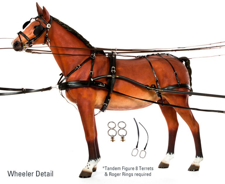 Classic Tandem Leader Harness | Your Saddlery