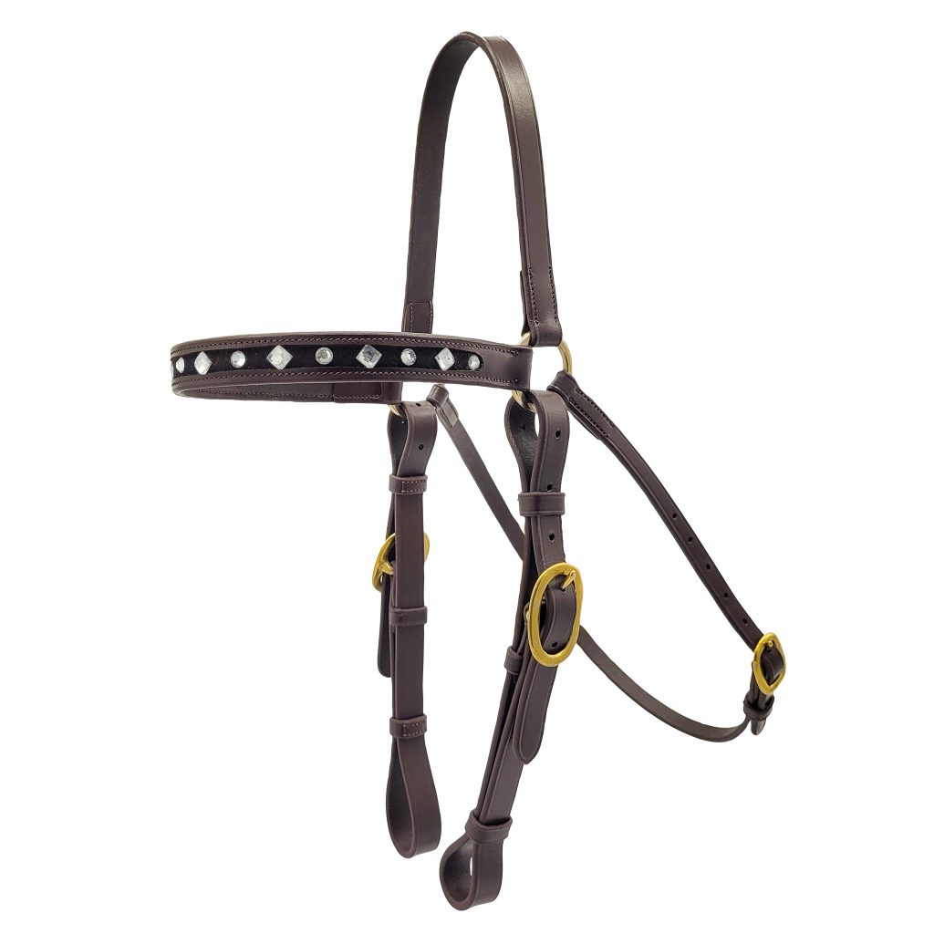 Oregon Bling Barcoo Bridle | Your Saddlery