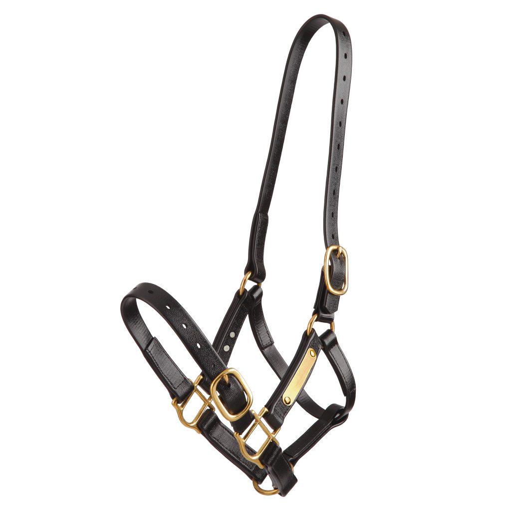 Zilco Deluxe PN Halter | Your Saddlery