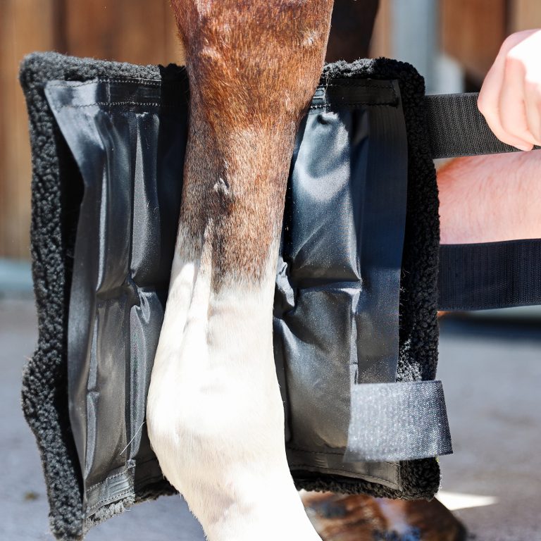Zilco Ice Boots | Your Saddlery