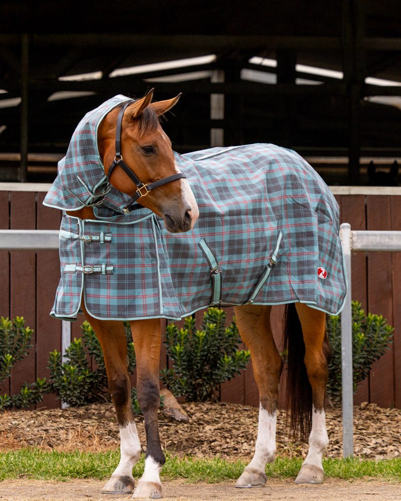 Zilco Supashade Combo -CLR | Your Saddlery