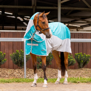 Zilco Guardian Hybrid Combo | Your Saddlery