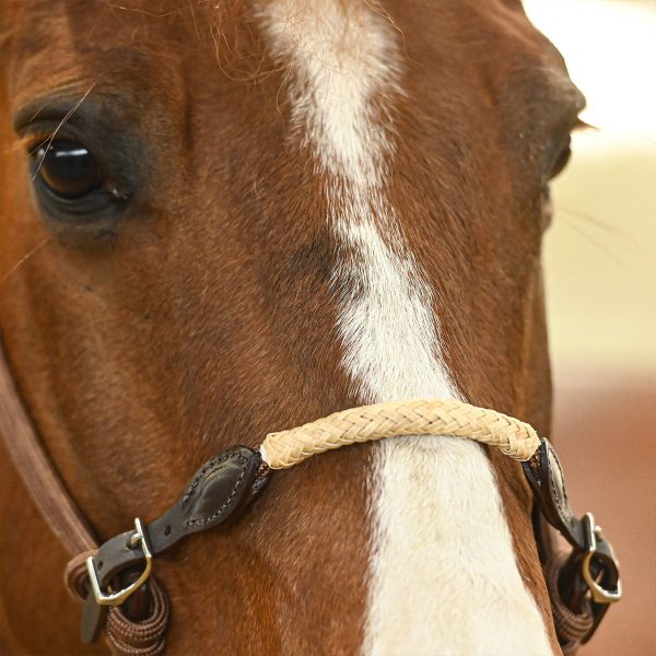 Lami-Cell Lunging Halter | Your Saddlery