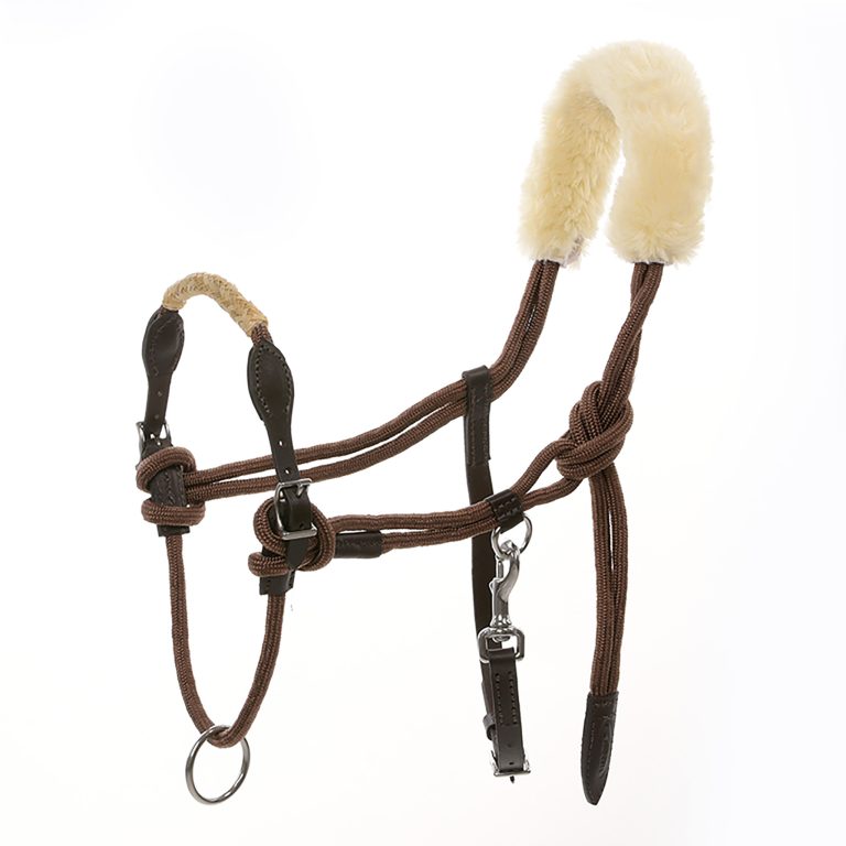 Lami-Cell Lunging Halter | Your Saddlery